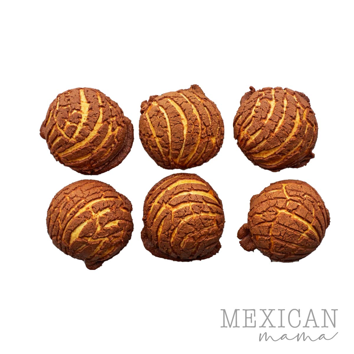 Fresh Homemade Chocolate Conchas (pack of 6) – Mexican Mama